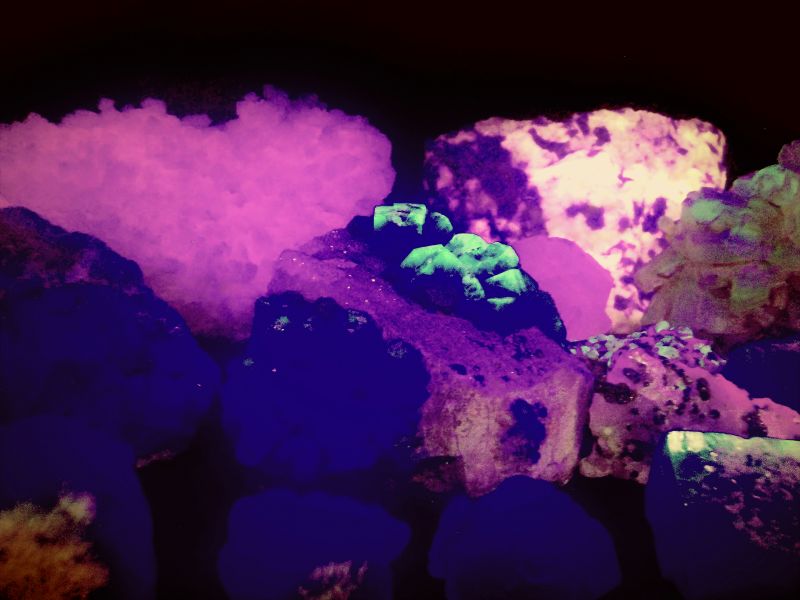 Blog - Fluorescent Minerals: When Stones Glow in the Dark